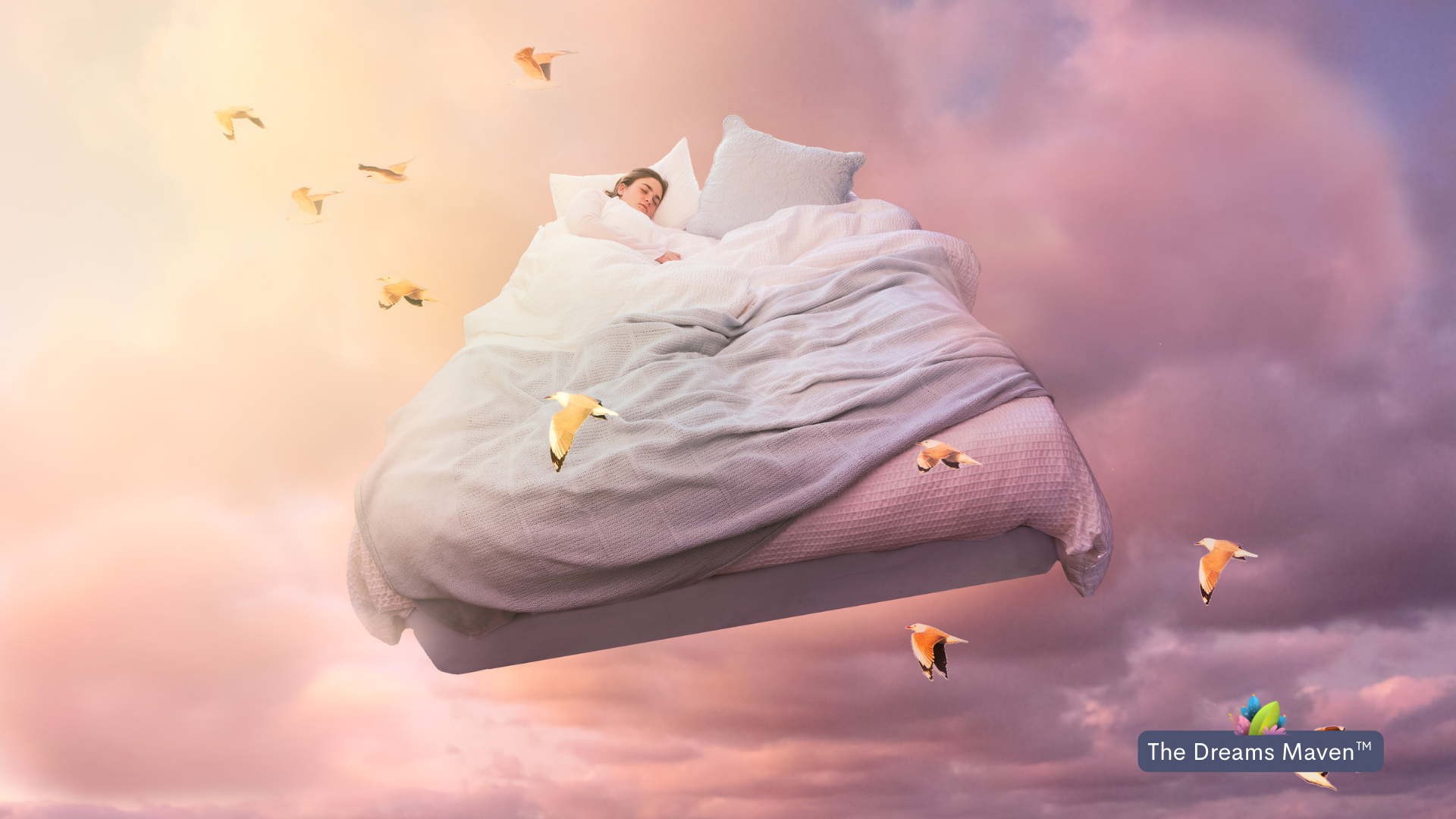 Dream Myths and Questions – The Dreams Maven™